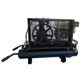 CAS P55HG11 Contractor Series Gas Reciprocating Air Compressor - Wrenchers